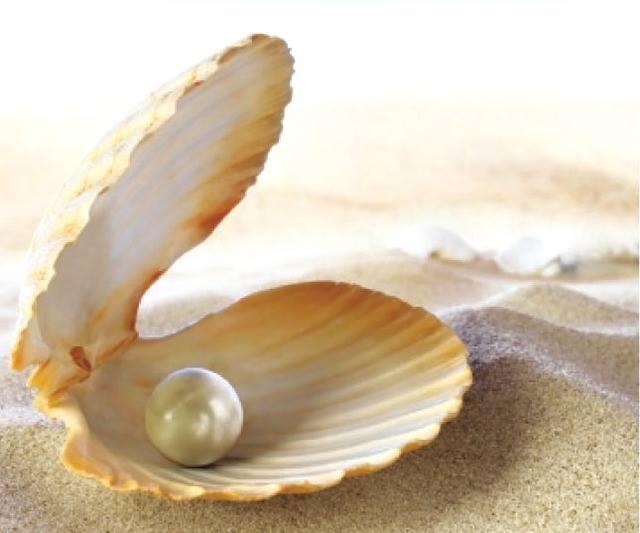 Kinderwoorddienst - Navertelling Matteüs 13,44-52